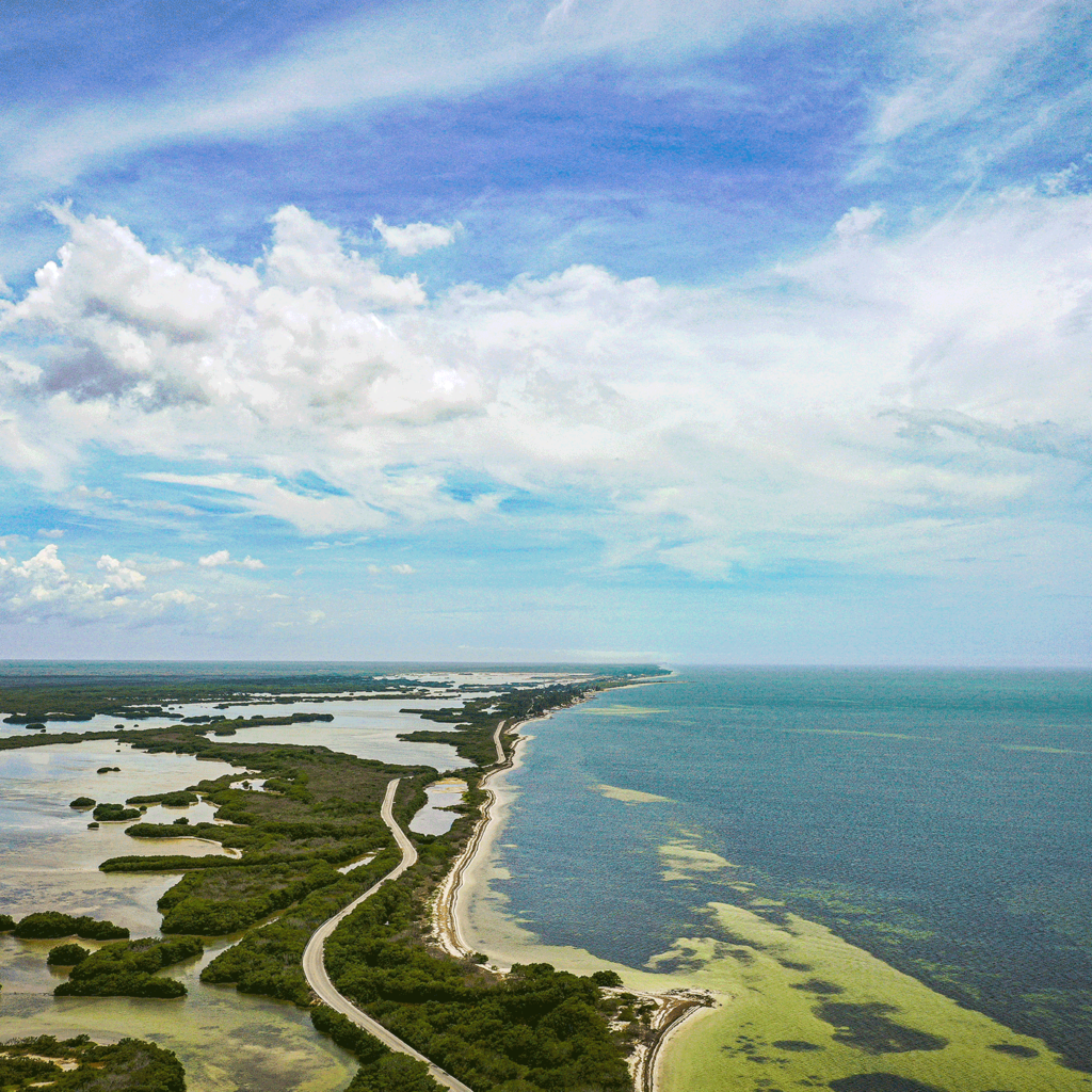 Costa Yucateca - masiv.mx
